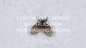 5 Fast Ways To Remove Drain Flies From Your Washing Machine - Pest ...
