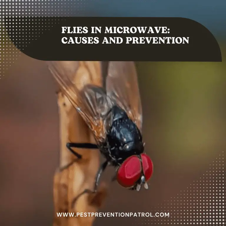 Flies in Microwave: Causes and Prevention - Pest Prevention Patrol
