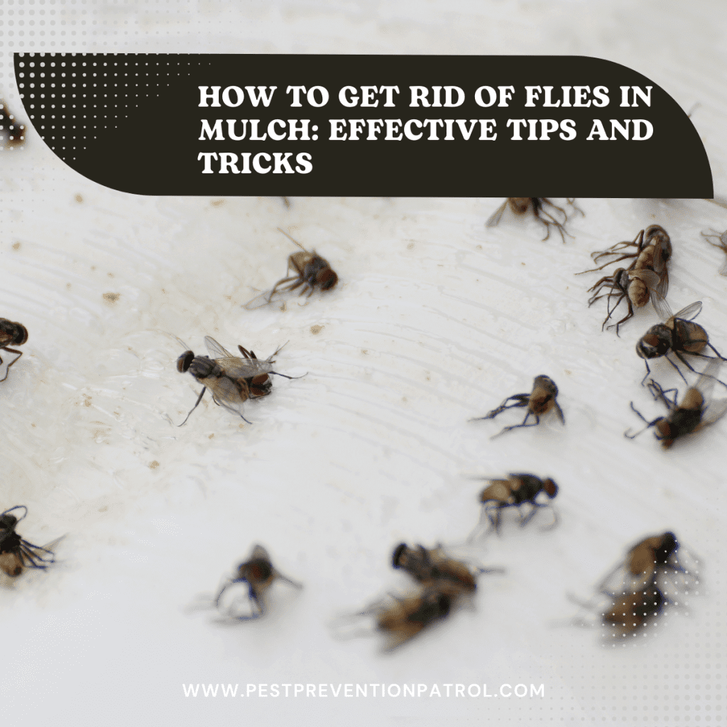How to Get Rid of Flies in Mulch: Effective Tips and Tricks - Pest ...